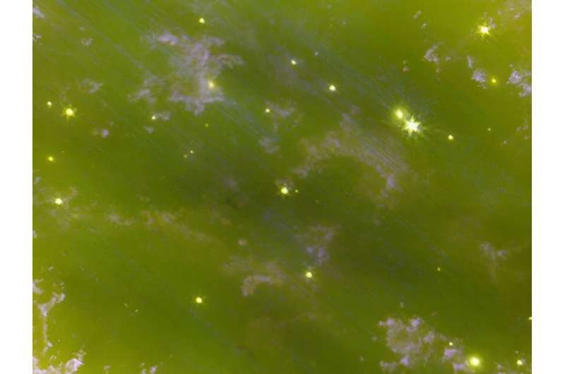 James Webb Space Telescope captures stunning images of the Ring Nebula ...